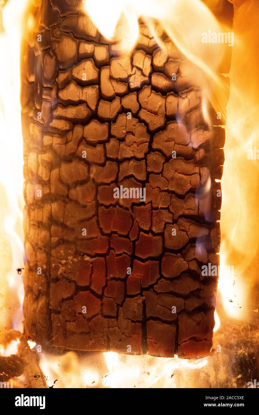 Family burning fake hi-res stock photography and images - Alamy