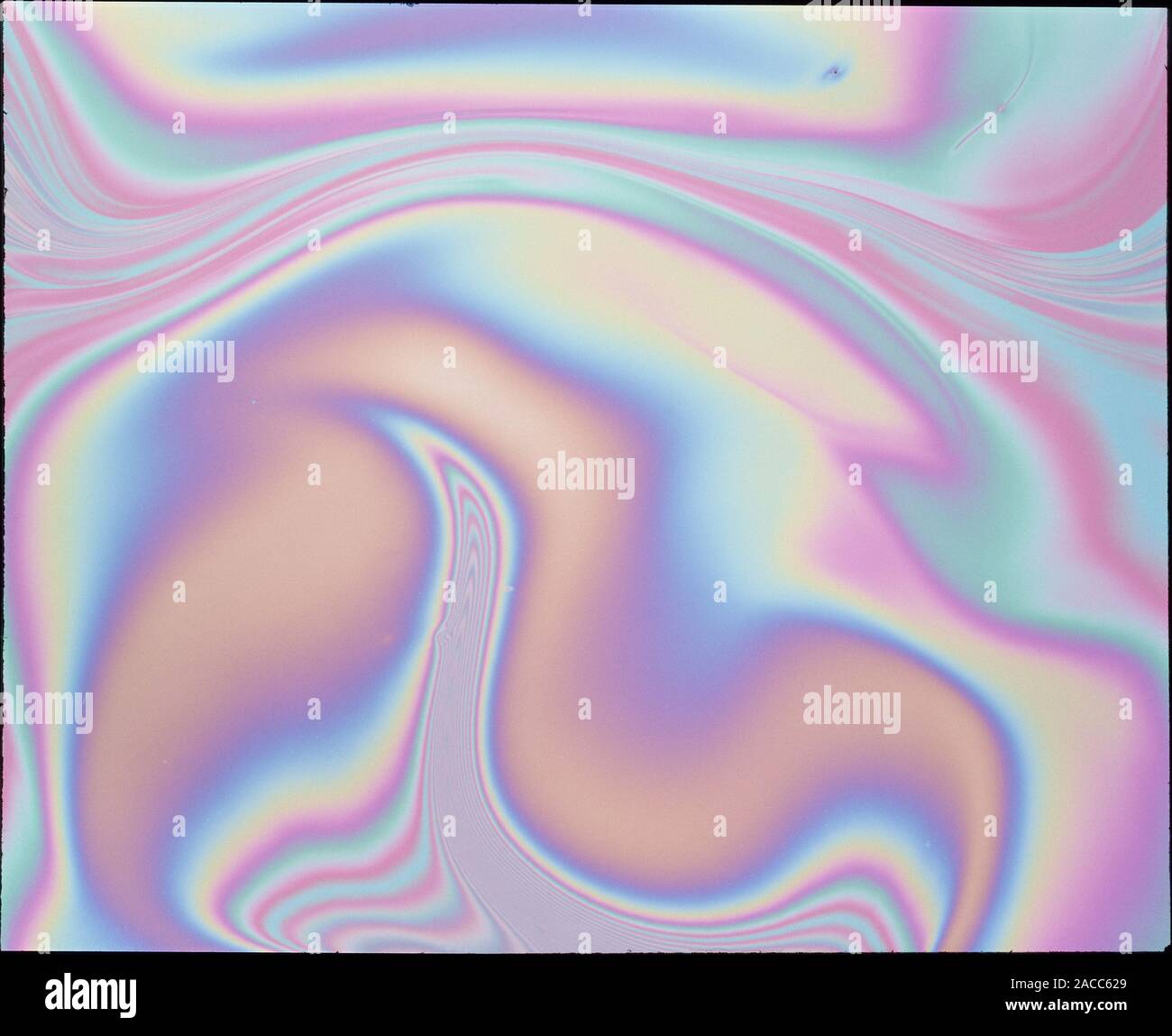 Coloured light interference pattern on a thin film of oil floating on ...