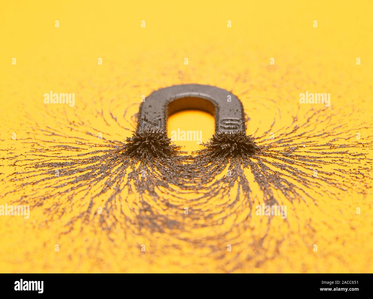 Magnetic field. Horseshoe magnet with iron filings aligned around it ...