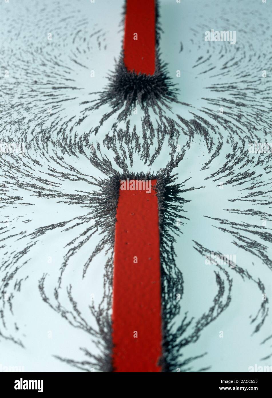 Magnetic fields. Bar magnets with iron filings aligned around them. The ...