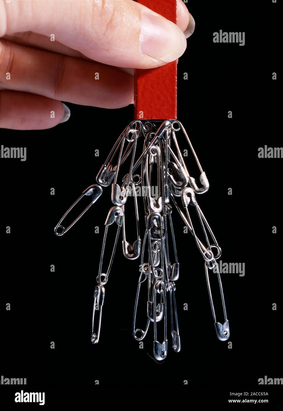 Magnetism. Safety pins, which are made of steel, being attracted to a ...