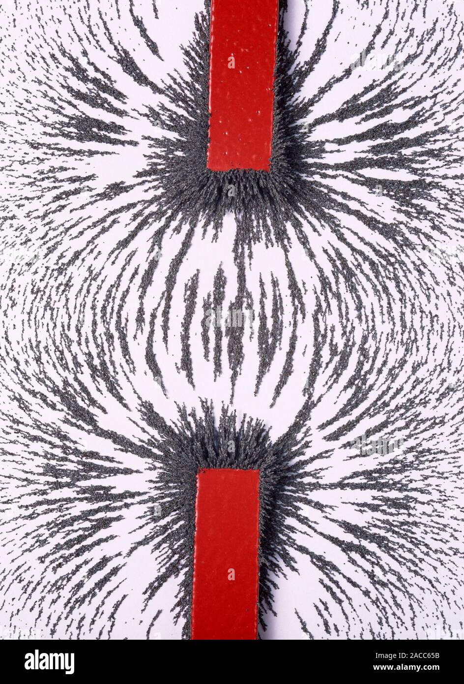 Magnetic attraction. The iron filings sprinkled between these two bar ...