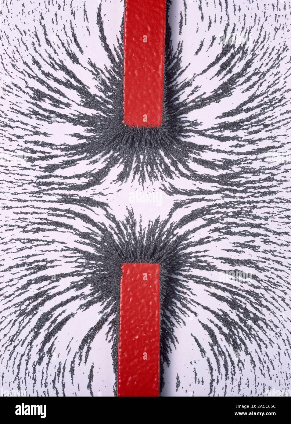 Magnetic repulsion. The iron filings sprinkled between these two bar ...