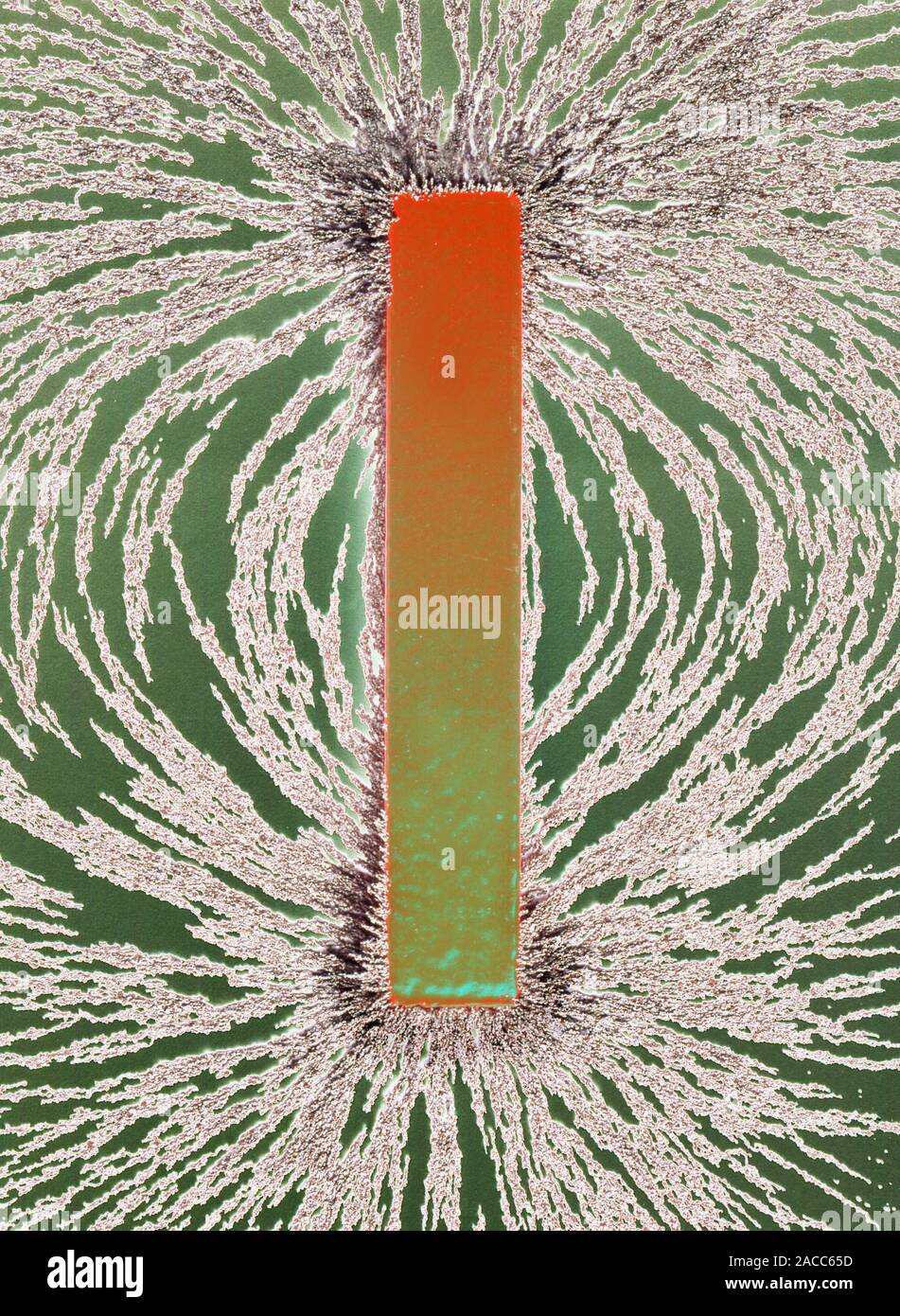 Magnetic Field Coloured Image Of Iron Filings Aligned Along The Magnetic Field Lines