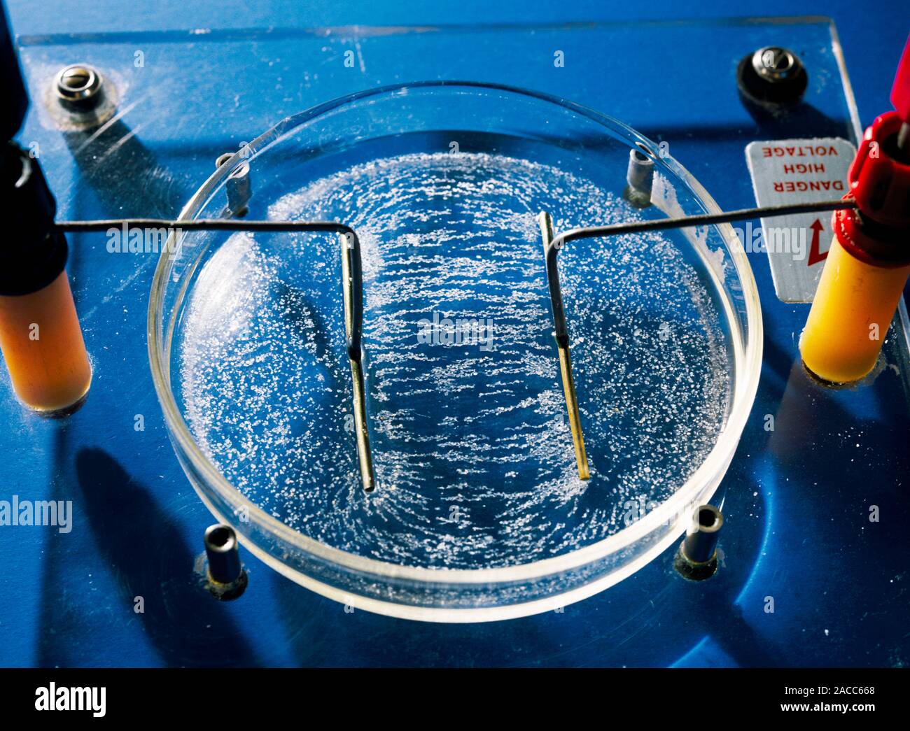 Electric fields apparatus, set up to demonstrate a linear electric ...