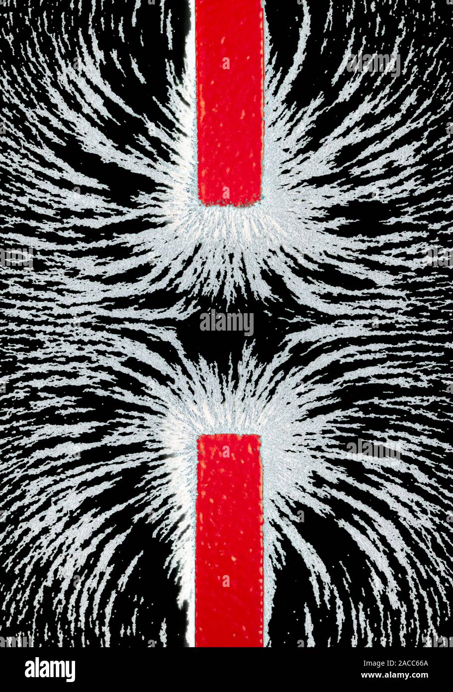 Magnetic repulsion. The iron filings sprinkled between these two bar ...