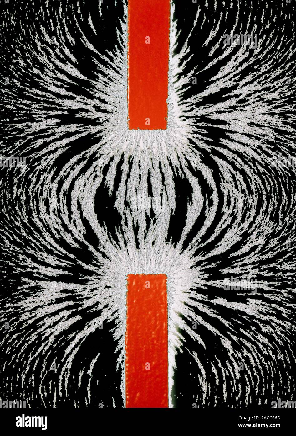 Magnetic attraction. Iron filings in a magnetic field generated by bar ...