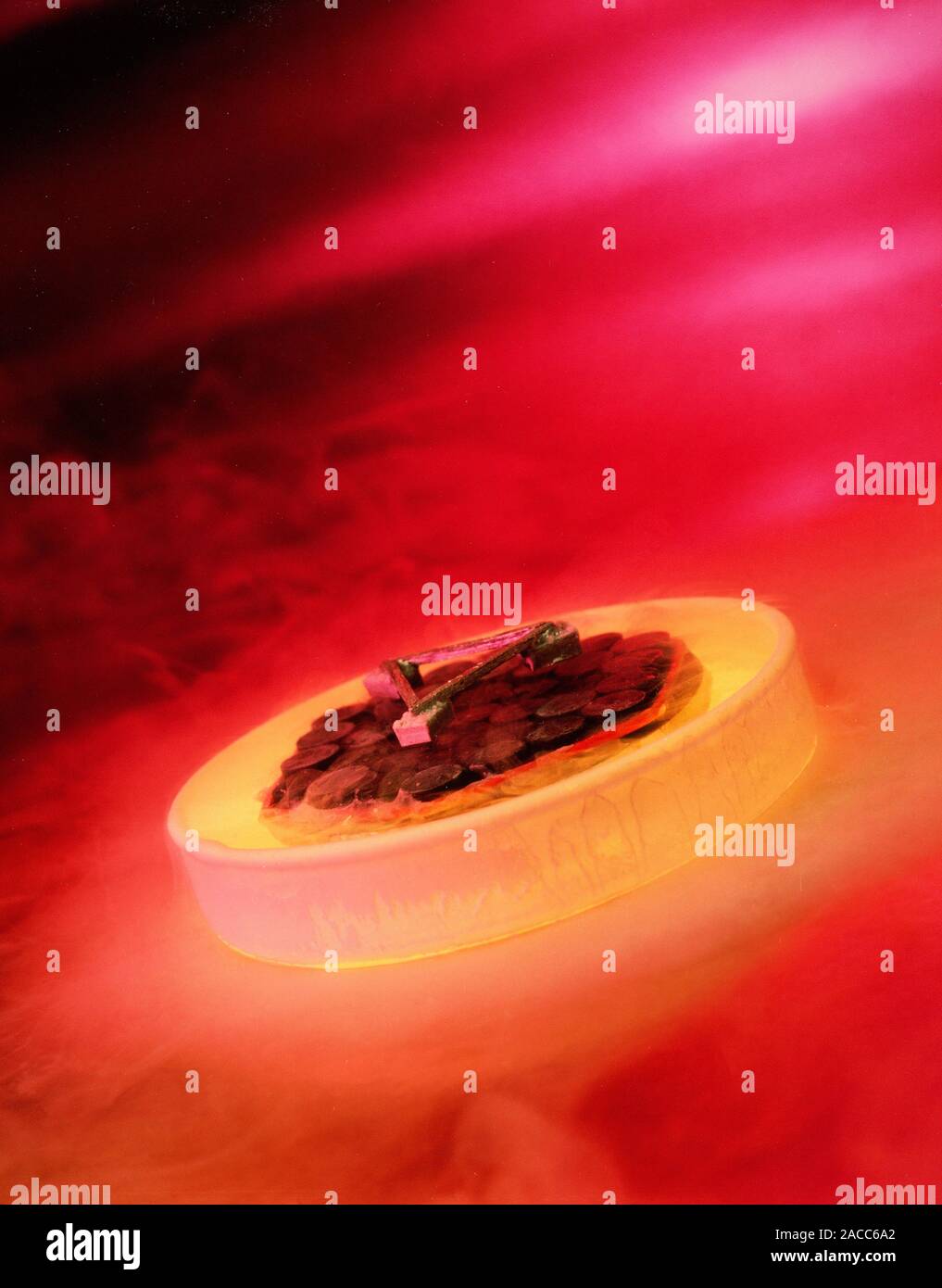 Demonstration of magnetic levitation using one of the new high ...