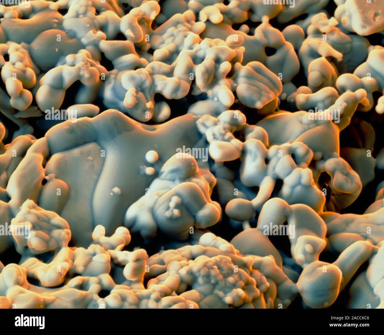Ceramic high-temperature superconductor. Coloured Scanning Electron ...