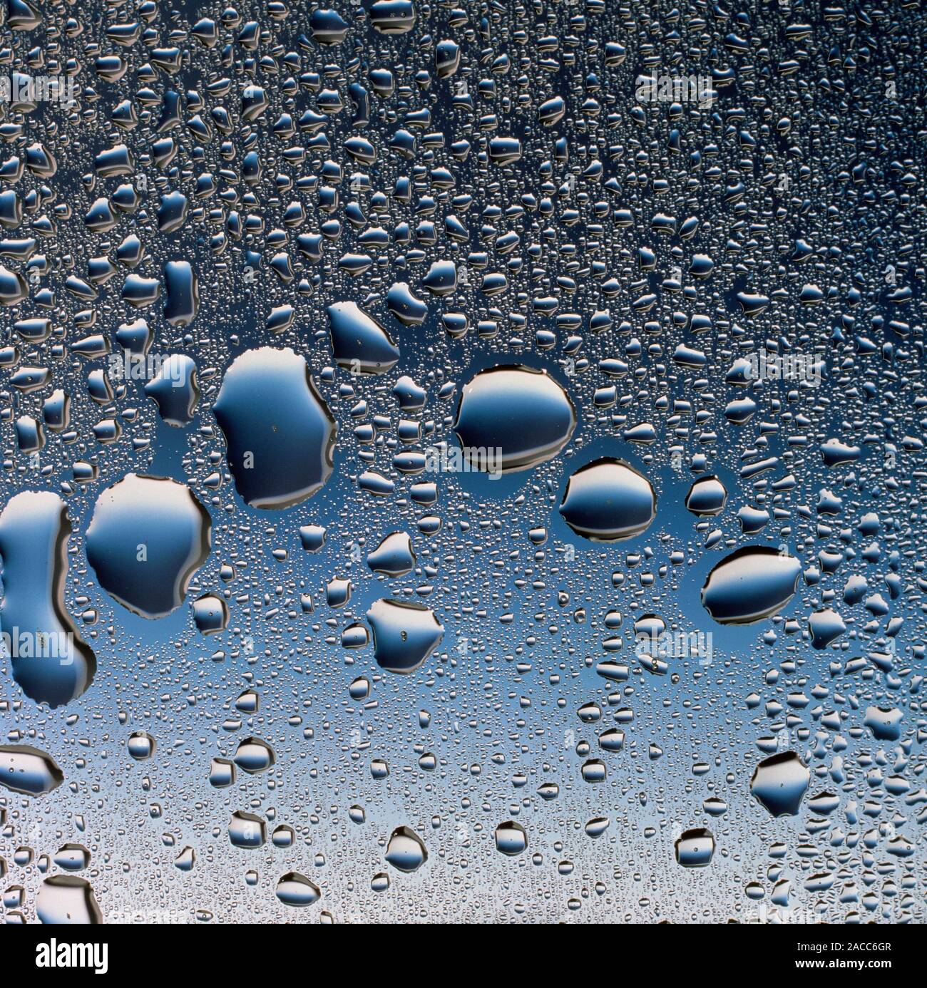Macro-photograph of water droplets, formed by condensation on glass ...