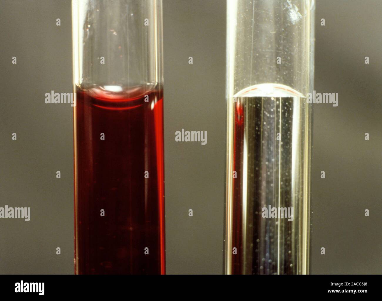 Comparison of the appearance of columns of water (dyed red) and mercury ...