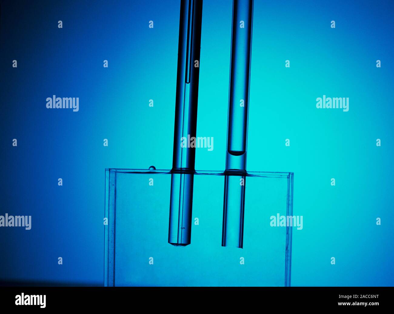 Capillary Action Water