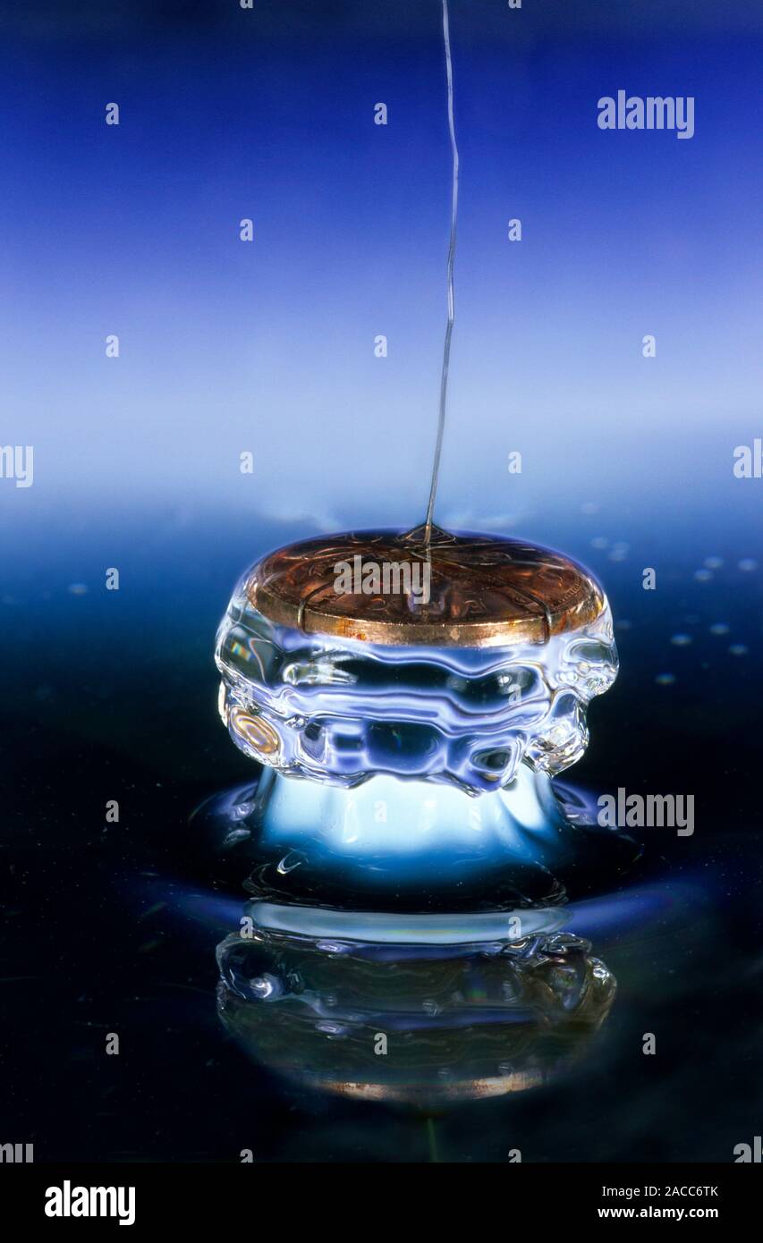Surface tension, image 1 of 2. High-speed photograph of a coin being ...