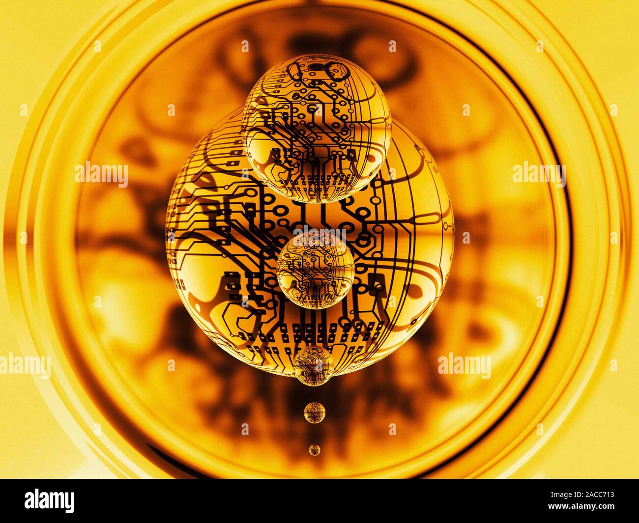 Quantum computing. Conceptual computer artwork of electronic circuitry ...