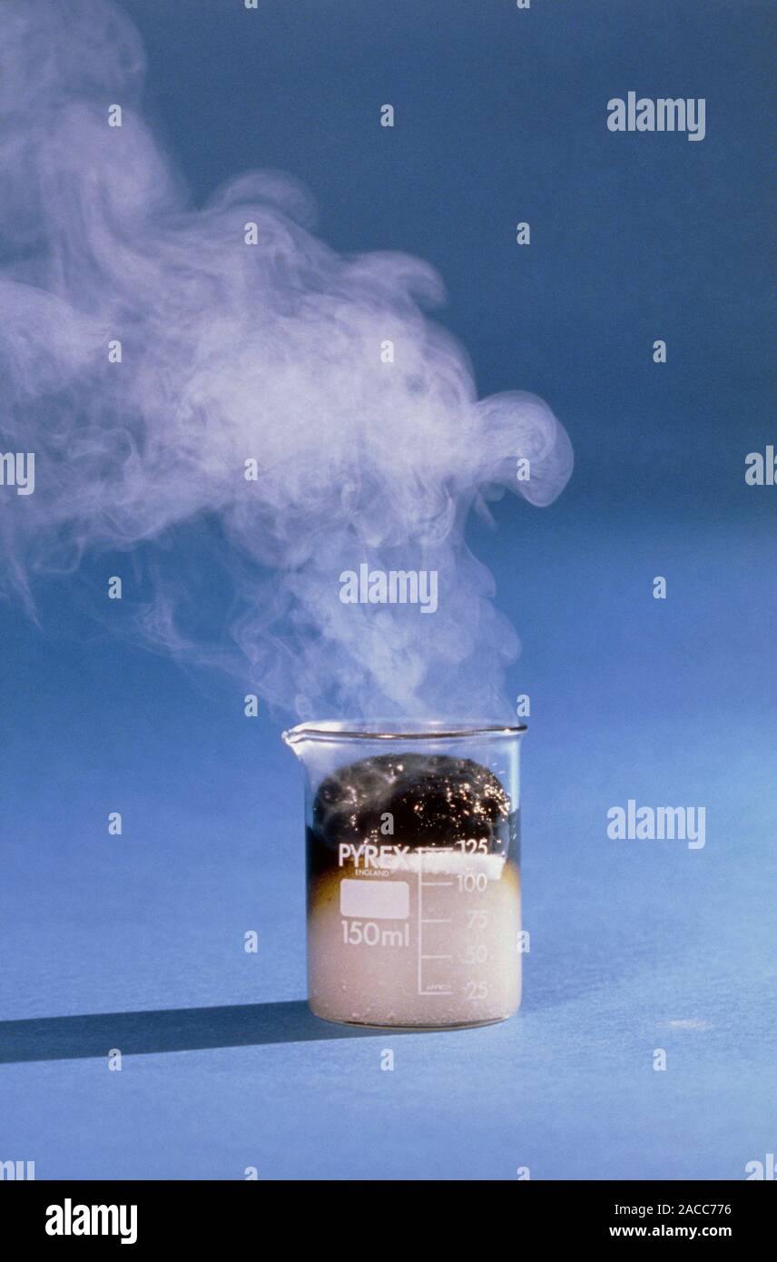 Acid dehydration of sugar. A beaker of sugar shortly after the addition ...