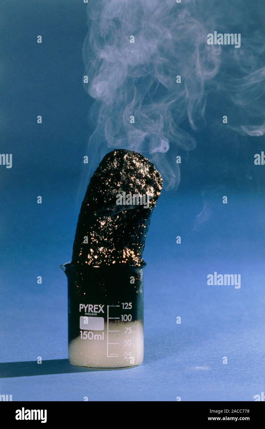 Acid dehydration of sugar. A beaker of sugar after the addition of ...