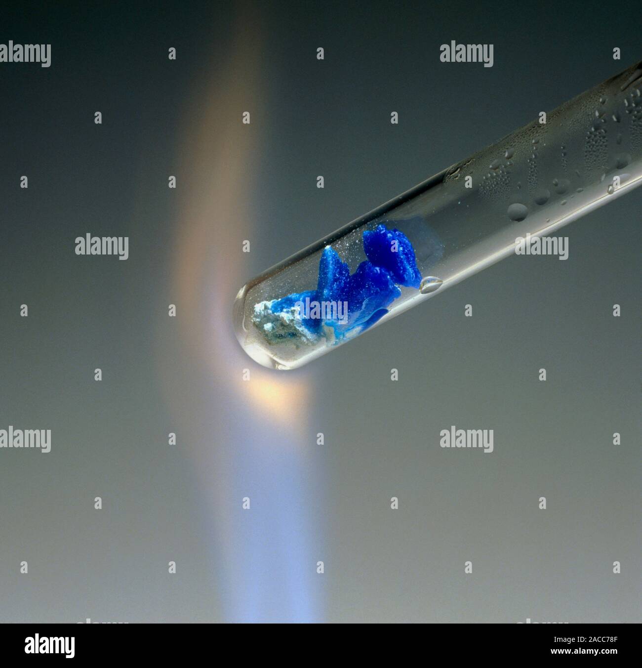 Dehydration of copper(II) sulphate crystals. Hydrated copper(II ...