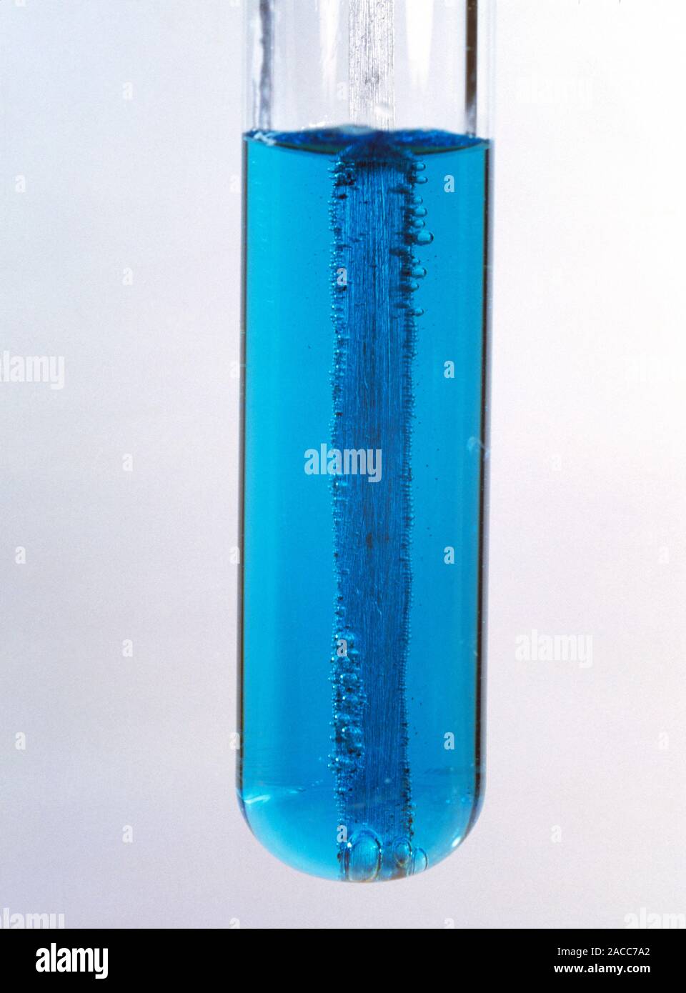 Metal displacement reaction. Image 1 of 2. Magnesium ribbon reacting ...