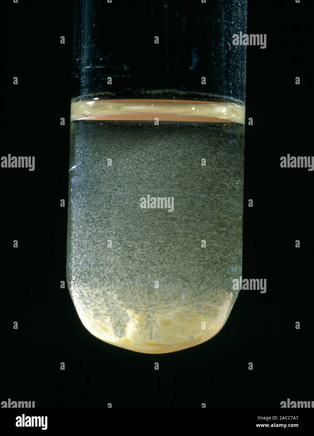 Triiodomethane (or iodoform, CHI3) crystals formed from a reaction of ...