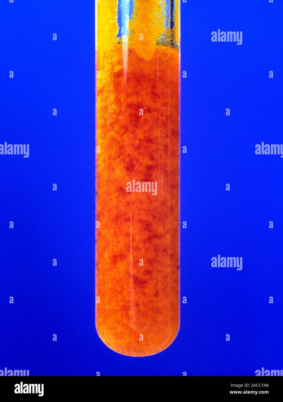 Brady's reagent. Propanone (acetone, CH3COCH3) reacts with Brady's ...