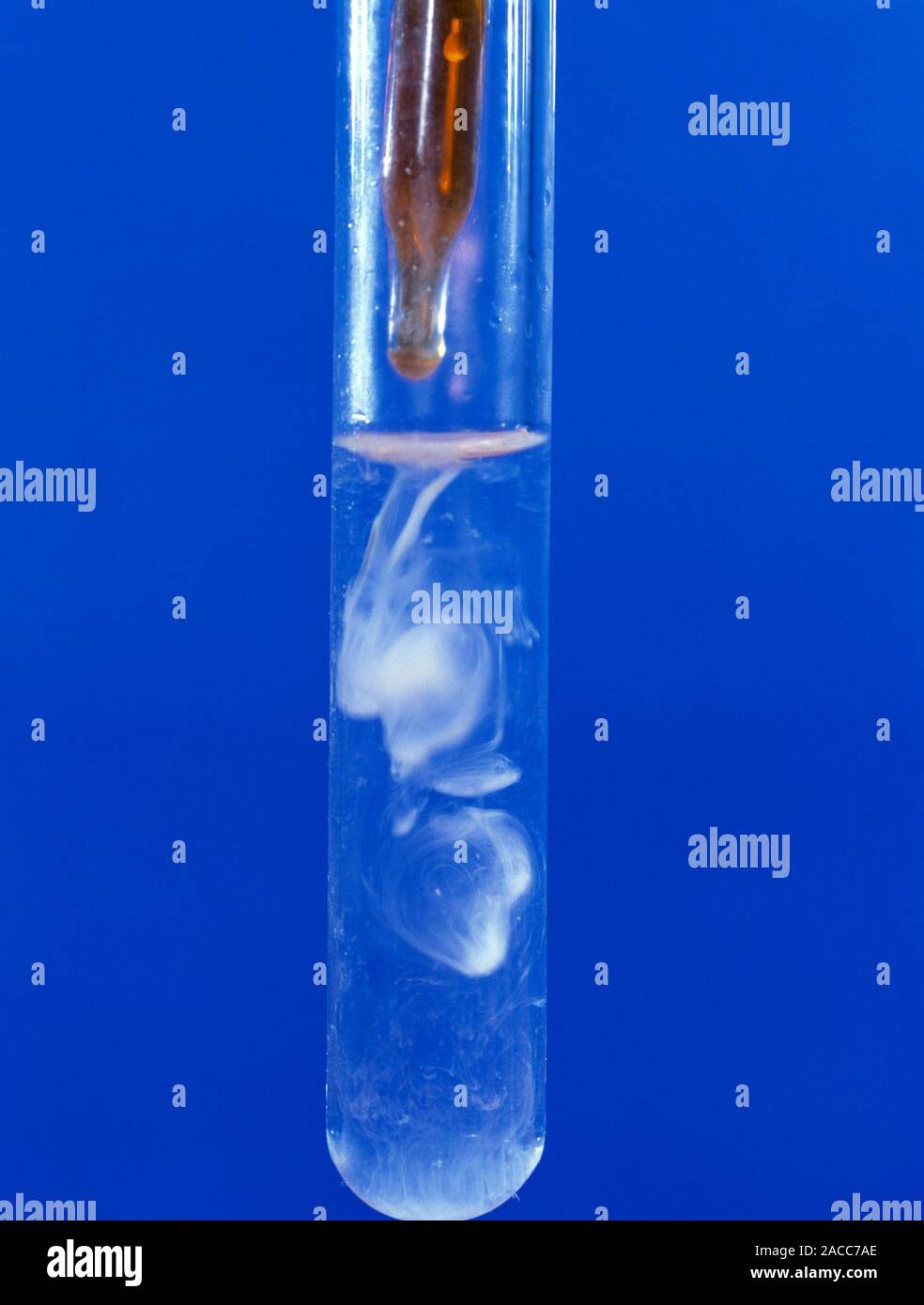 Bromination of phenol. Bromine (brown, Br2, top) being added to phenol ...