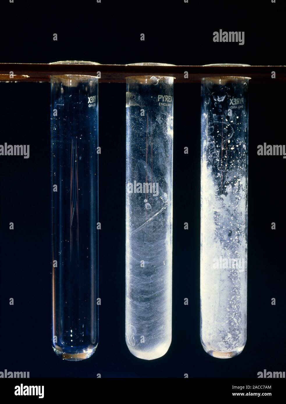 Water hardness. Three test tubes containing the deposits left behind ...