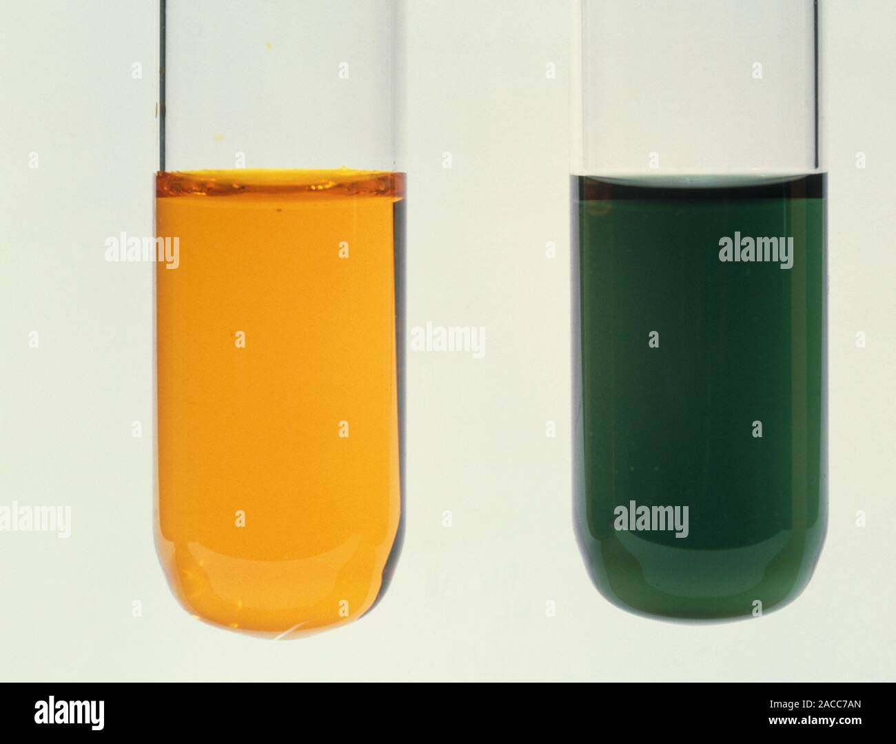 Alcohol test. Demonstration of the colour change that accompanies the ...