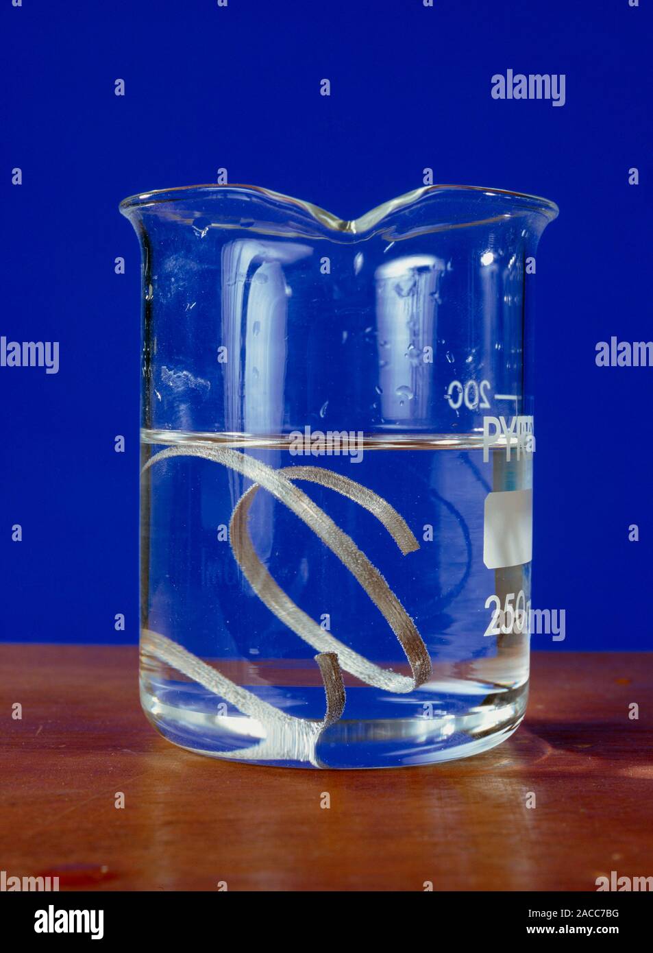 Calcium reacting with water. Strip of calcium (Ca) metal reacting with ...