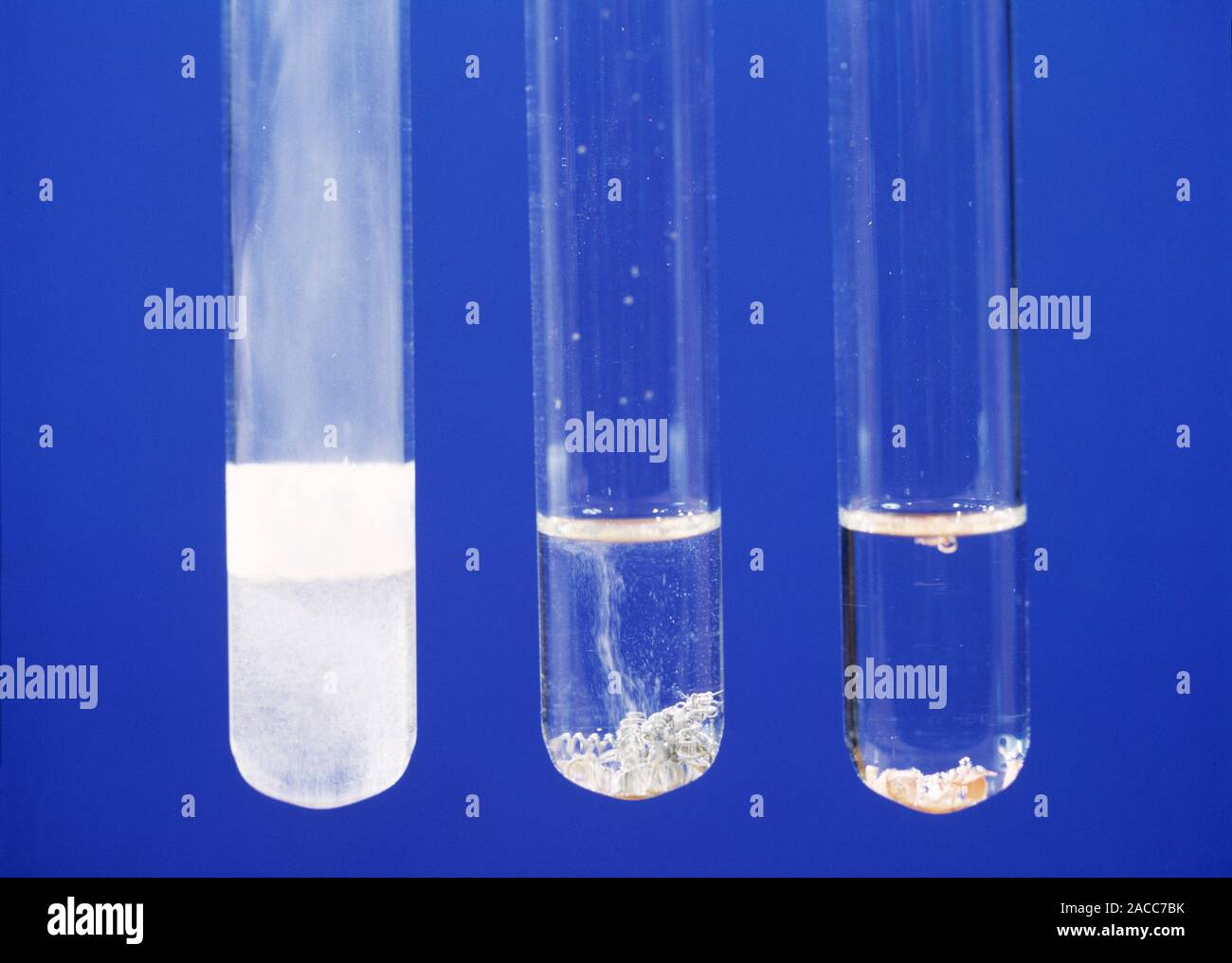 Metals reacting in acid. Three tests tubes with equal volumes of dilute ...