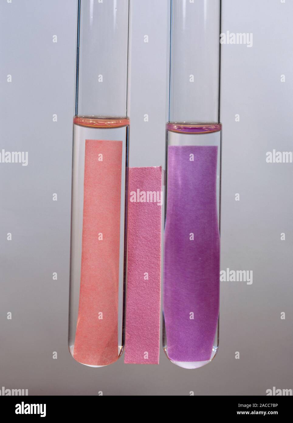 Litmus paper. Test tubes containing acidic (left) and alkaline (right ...