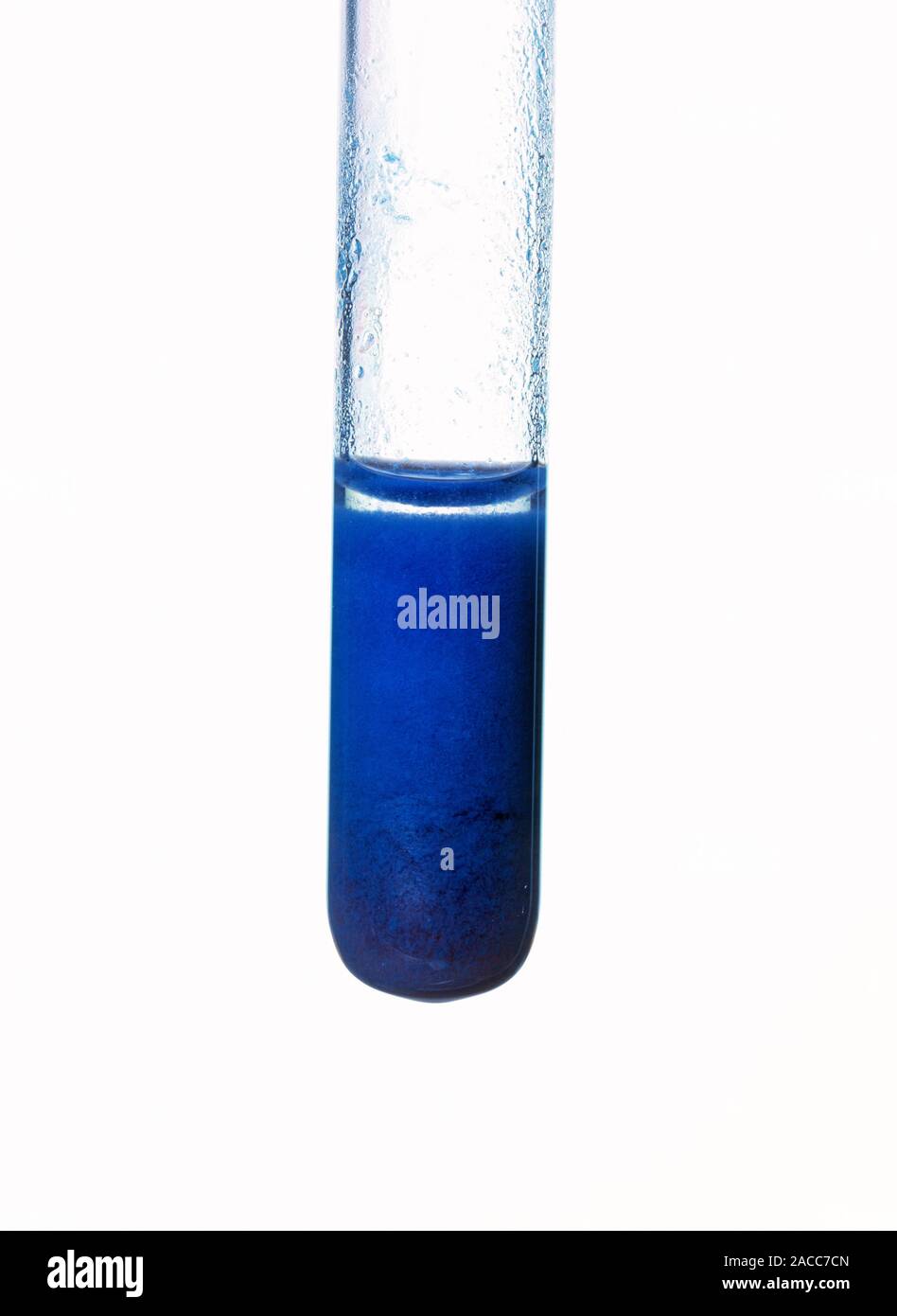 Cobalt precipitation. Experiment showing the formation of a precipitate ...