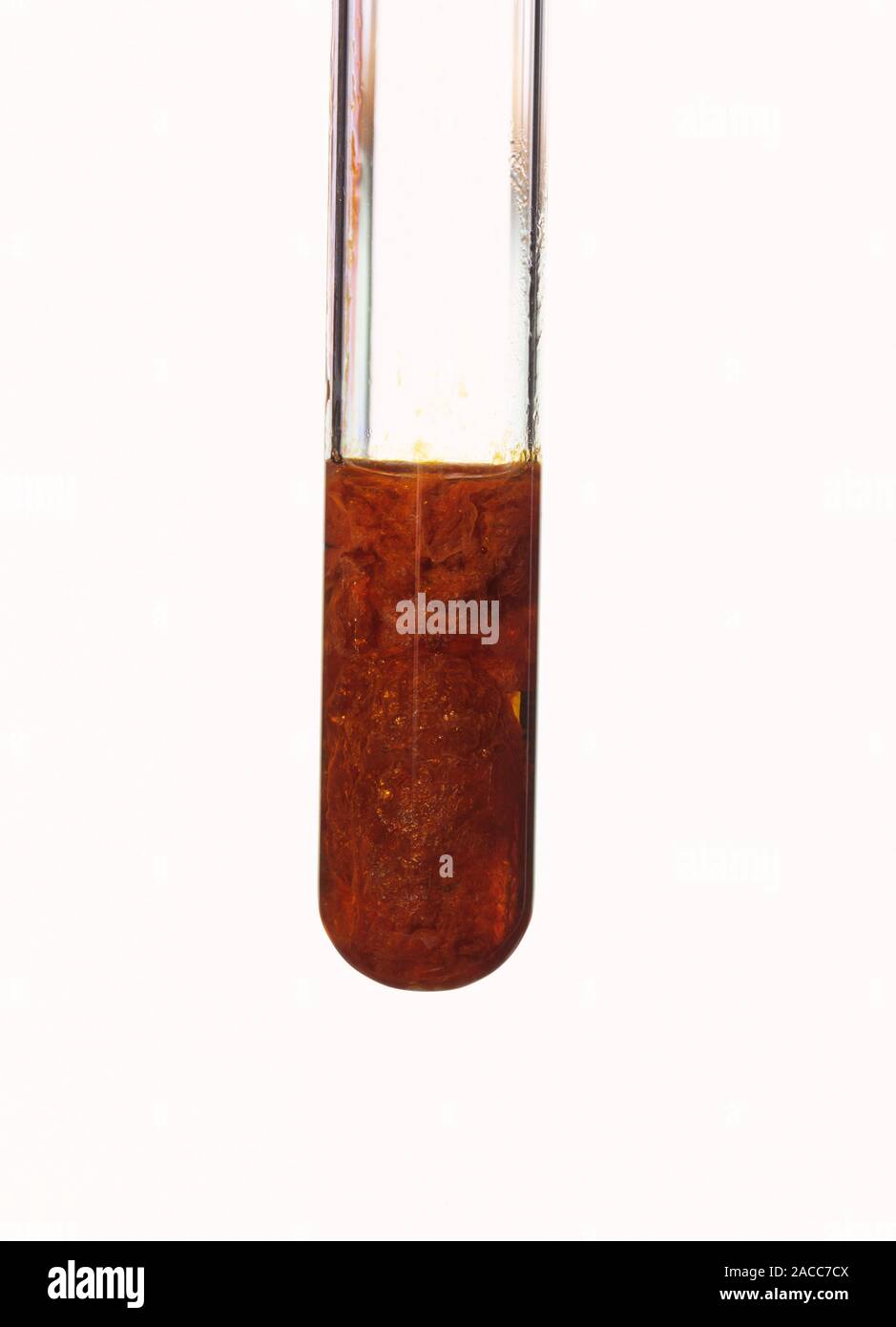 Iron precipitation. Experiment showing the formation of a precipitate ...