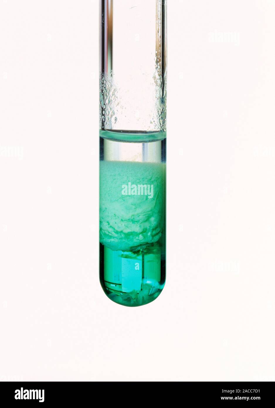 Nickel precipitation. Experiment showing the formation of a precipitate ...