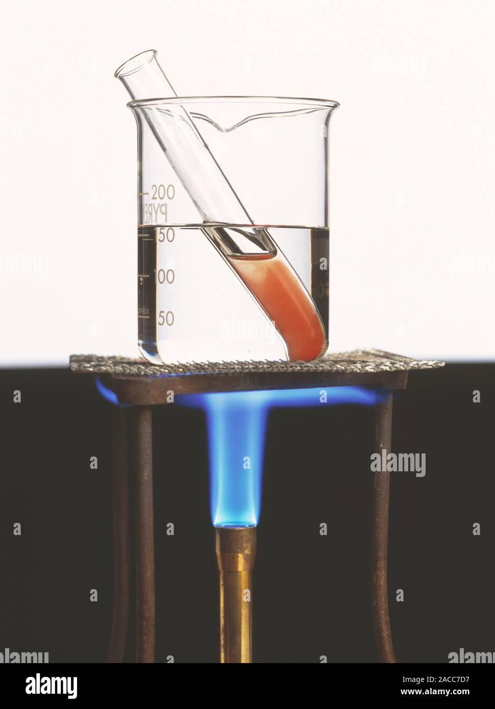 Fehling's reaction. Fehling's reagent, which is ordinarily blue, reacts ...