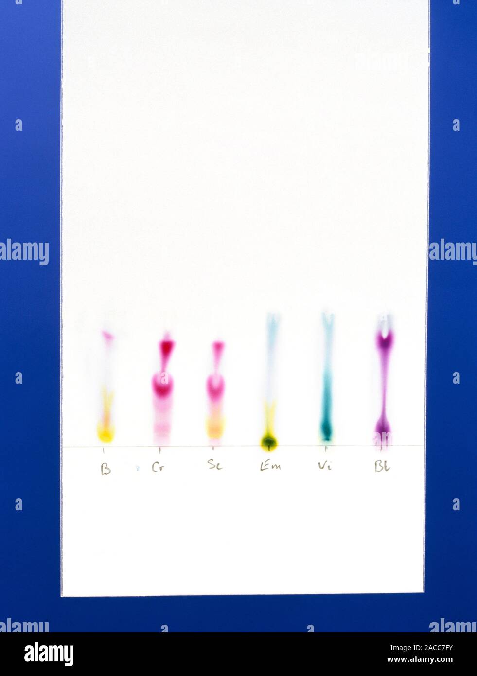 Paper chromatography, separating coloured inks (vertical streaks ...