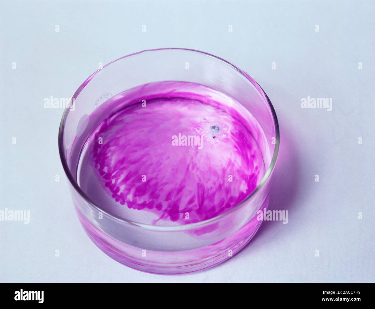 Lithium reacting with water. Lithium (Li) is a highly reactive metallic element. It is light ...