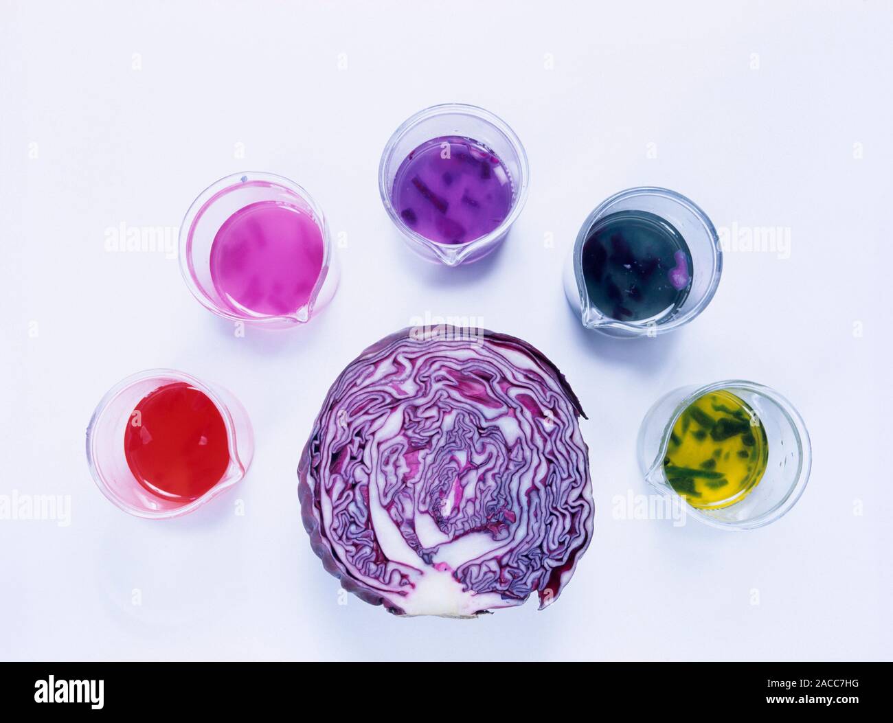 Plant acid-base indicator. Red cabbage (lower centre) contains a ...