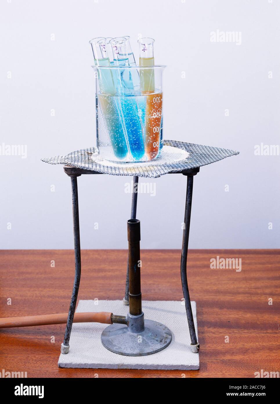 Fehling's test for sugars. Five test tubes being heated in a water bath ...