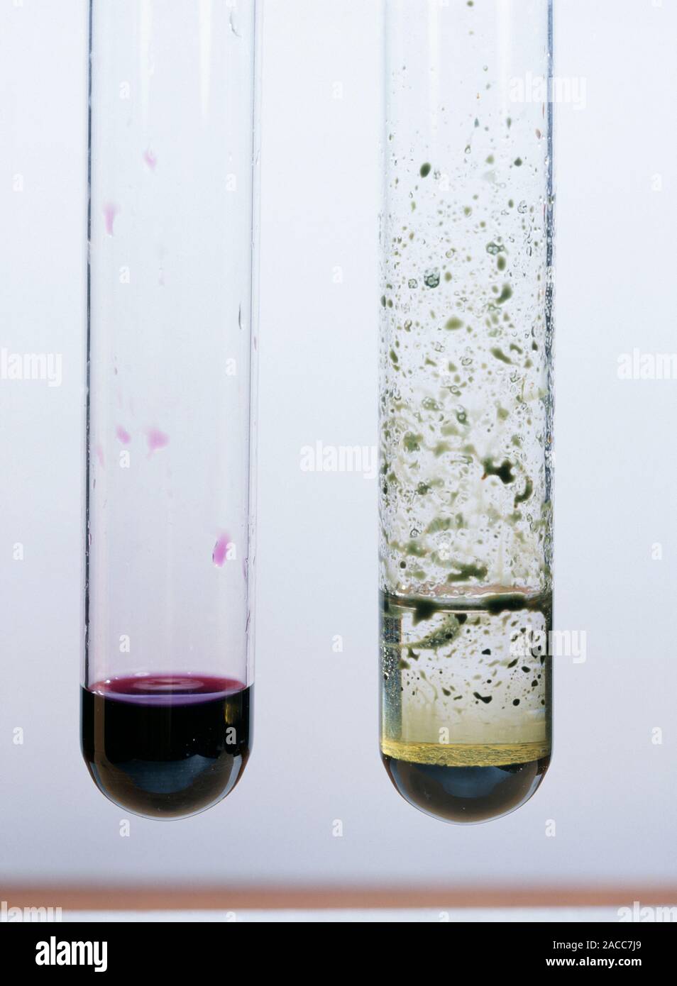 Oxidation test. Two test tubes with two different colours indicating a ...