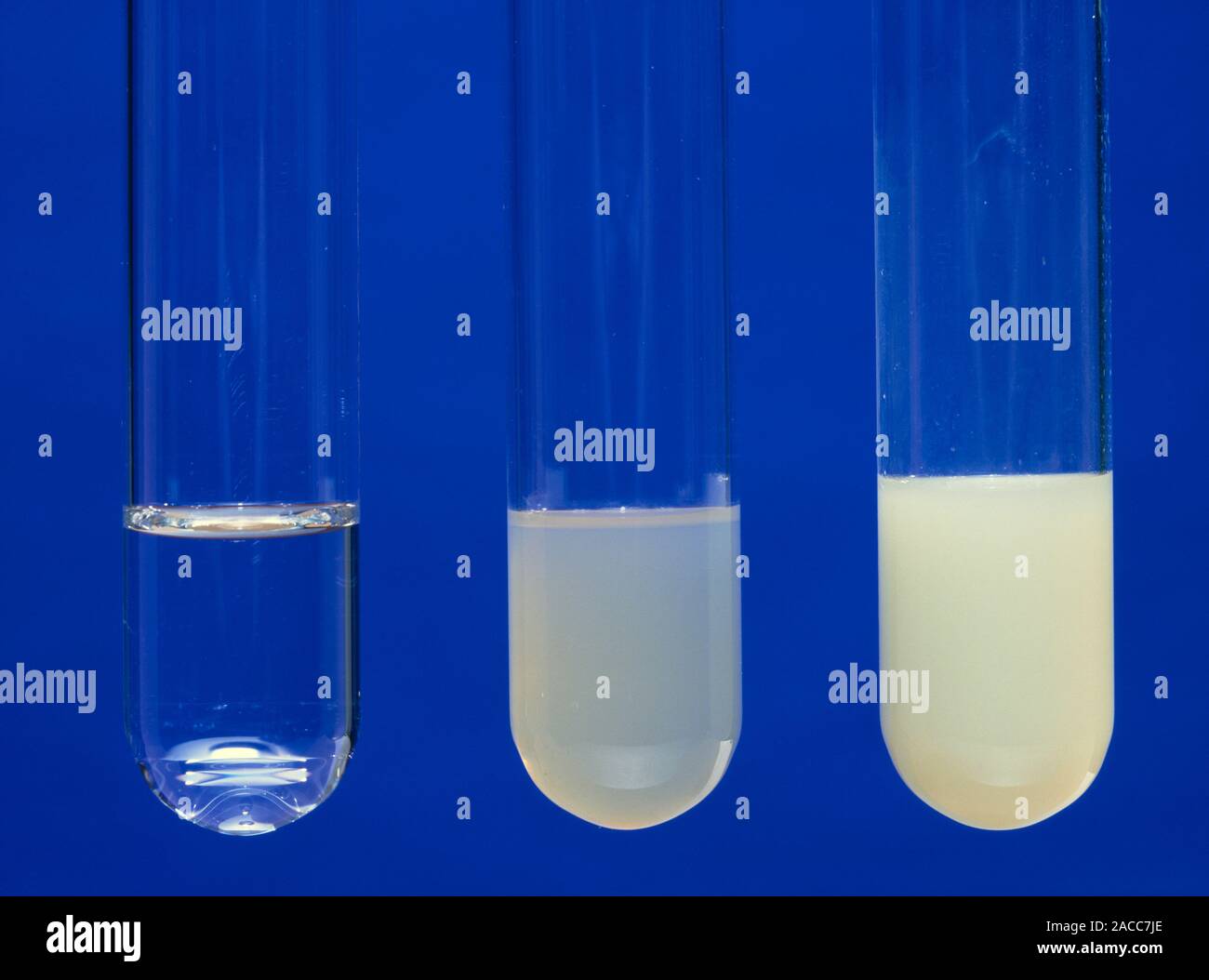 Test for halogenated compounds with silver nitrate solution. The three ...
