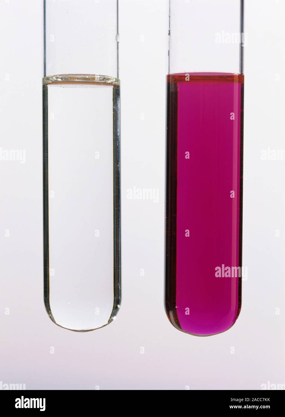 Phenolphthalein indicator being compared in acid (left) and alkaline ...