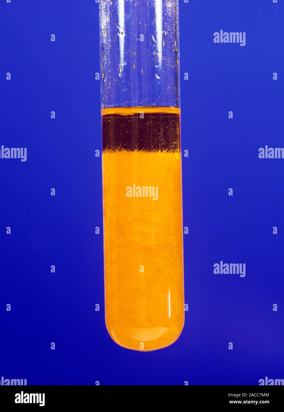 Brady's reagent (2,4-dinitrophenylhydrazine) reacting with propanone in ...