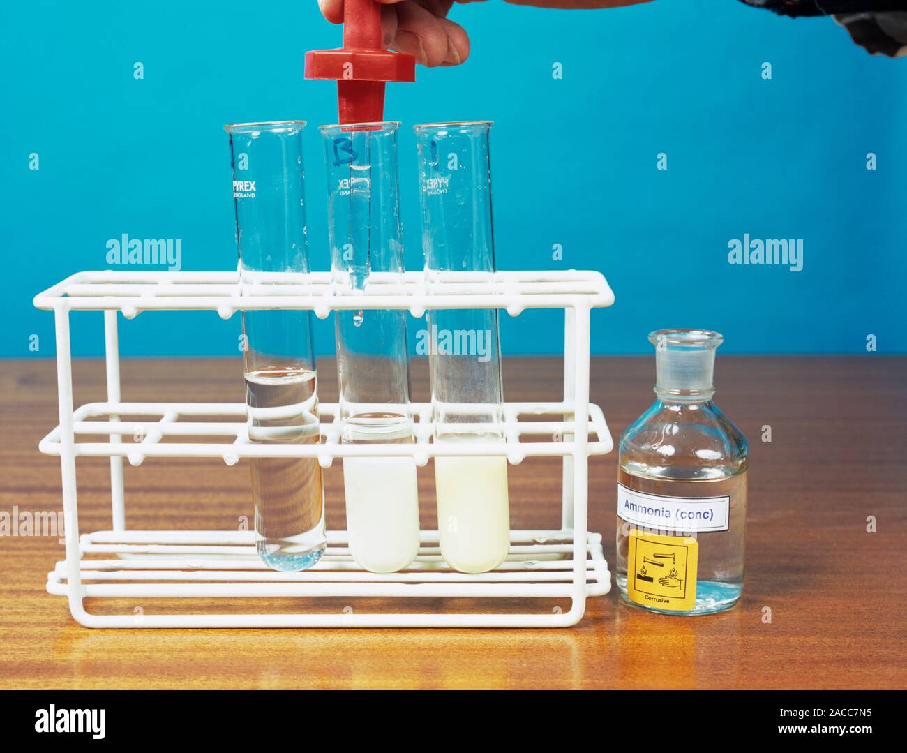 Haloalkane test. Image 6 of 7. Adding concentrated ammonia to test ...