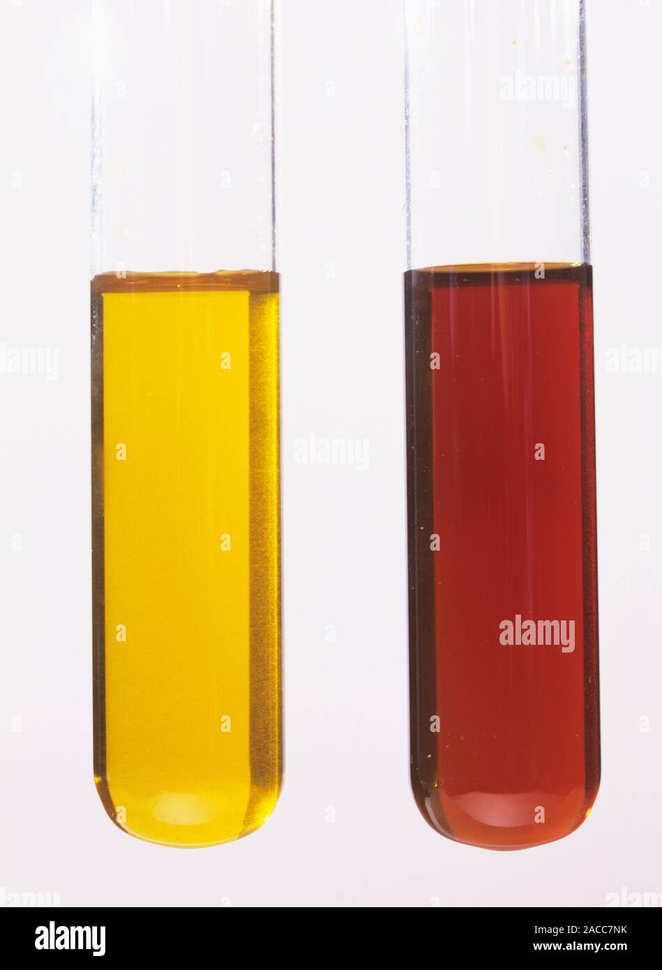 Iron test. Iron (III) solution (yellow) being compared to ferric ...
