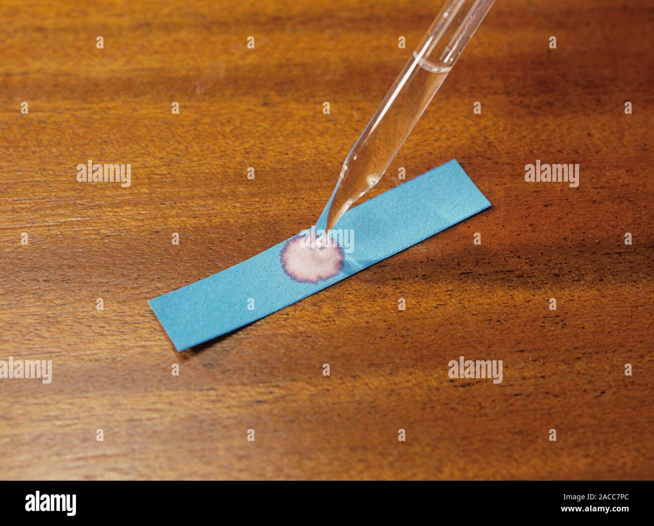 Cobalt chloride (CoCl2) paper with a drop of water. Cobalt chloride ...