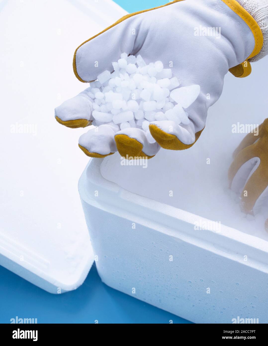 Dry ice. Gloved hand holding carbon dioxide in its solid form (dry ice ...