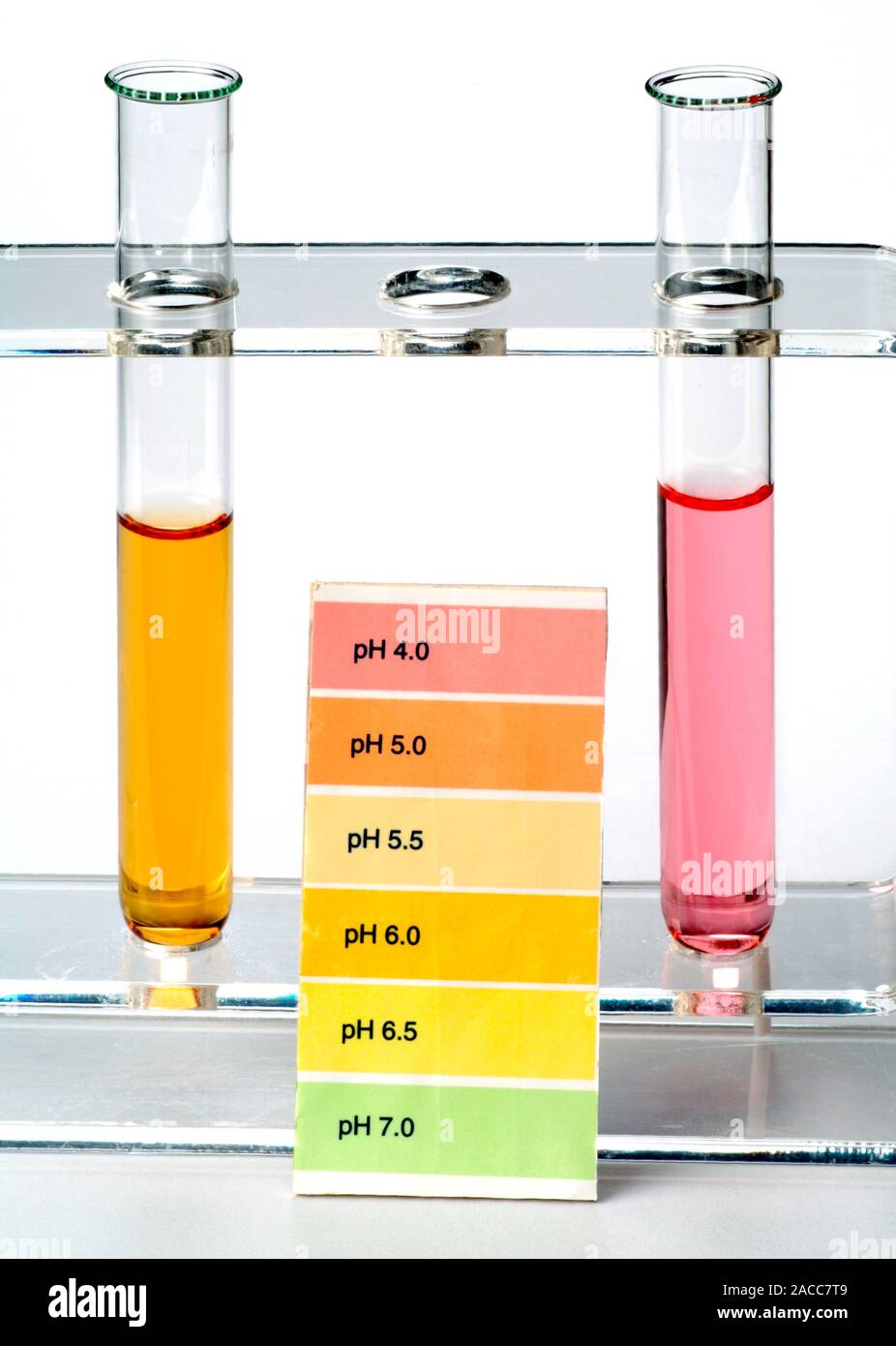 Measuring acidity of rainwater samples. Test tubes of normal rain (left ...