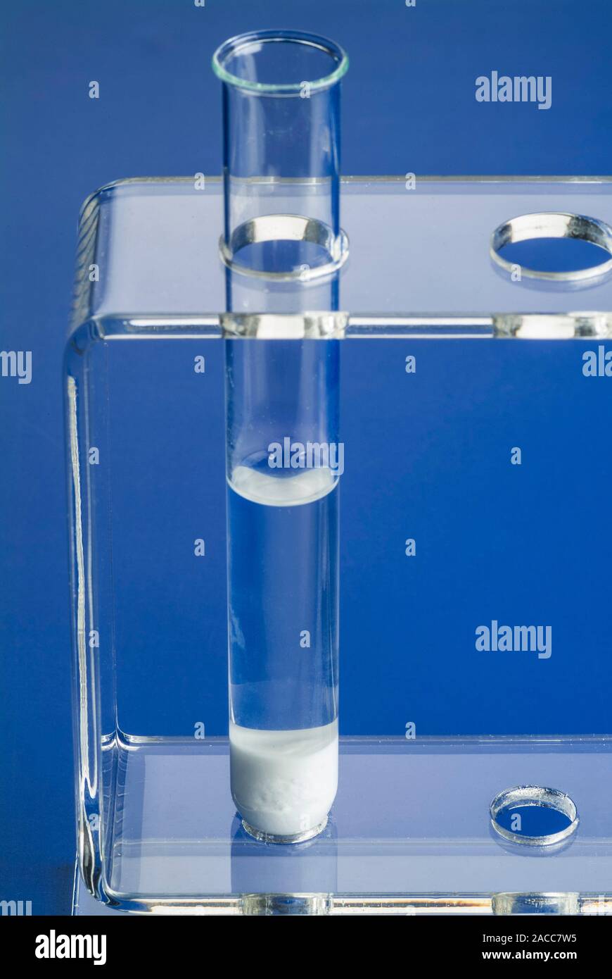 Sulphate ion test. Positive result of a test for sulphate ions in a ...
