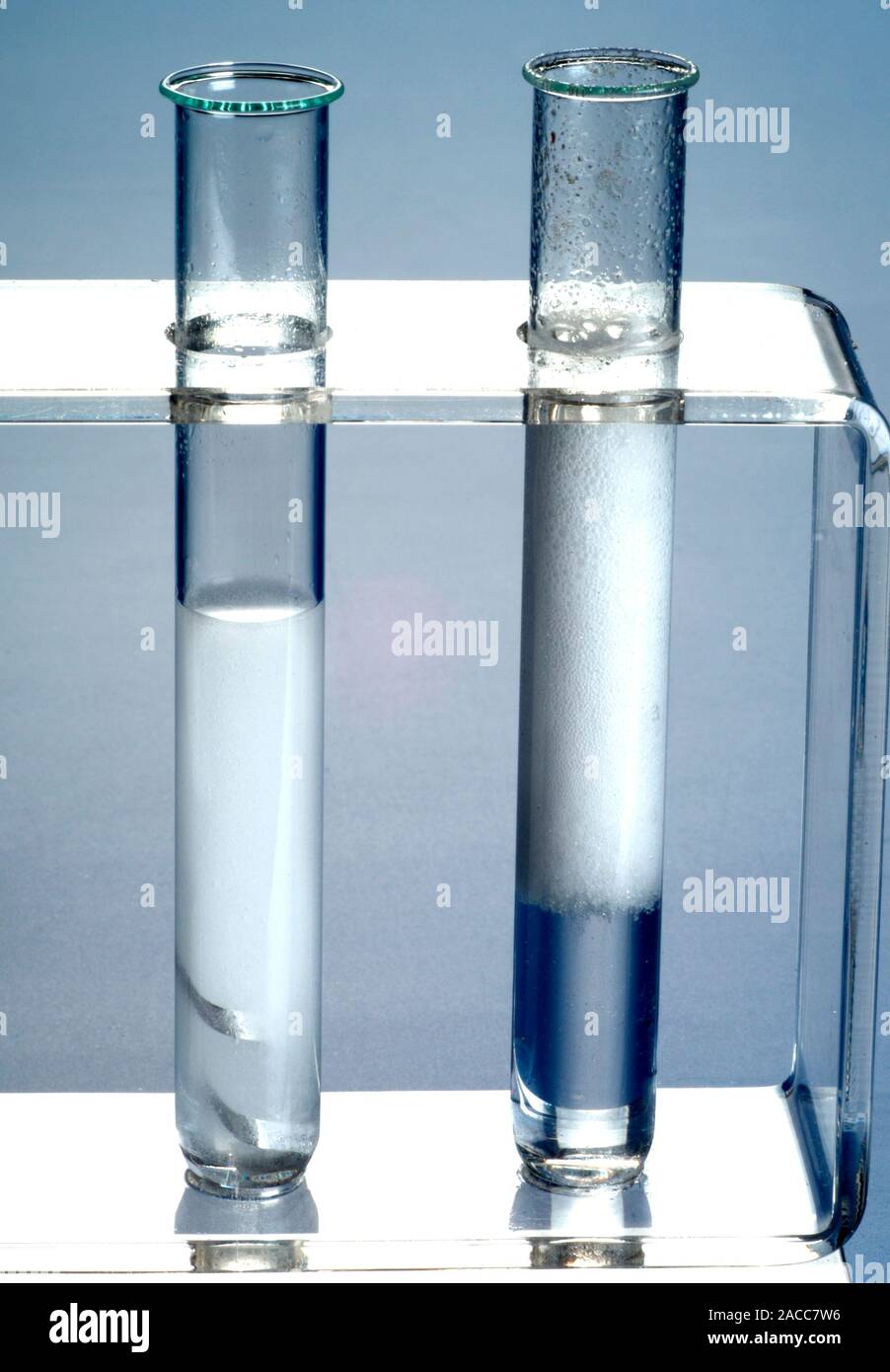 Magnesium Ribbon And Hydrochloric Acid