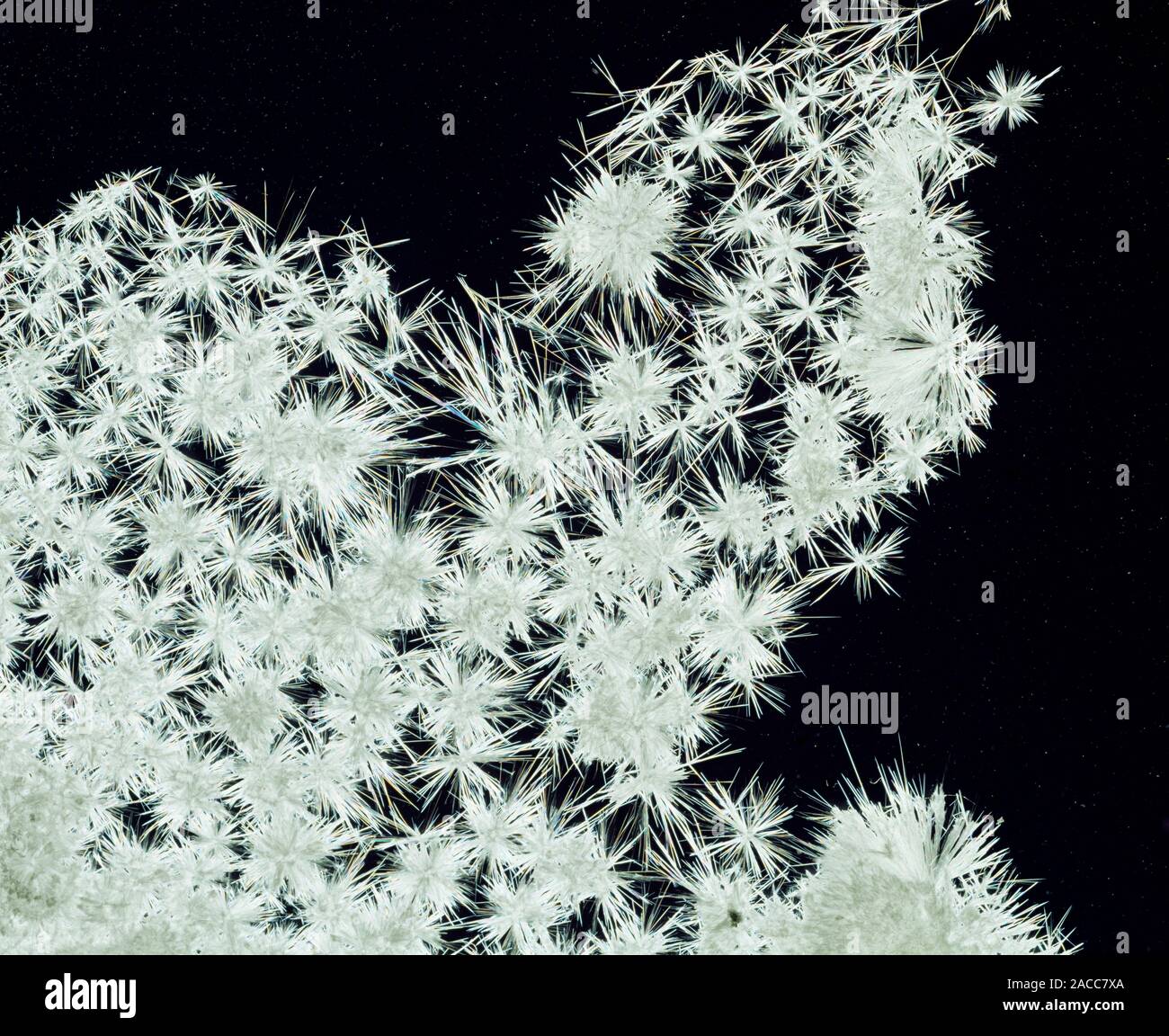 Surfinol. Acicular crystals of the wetting agent Surfinol. The actual ...